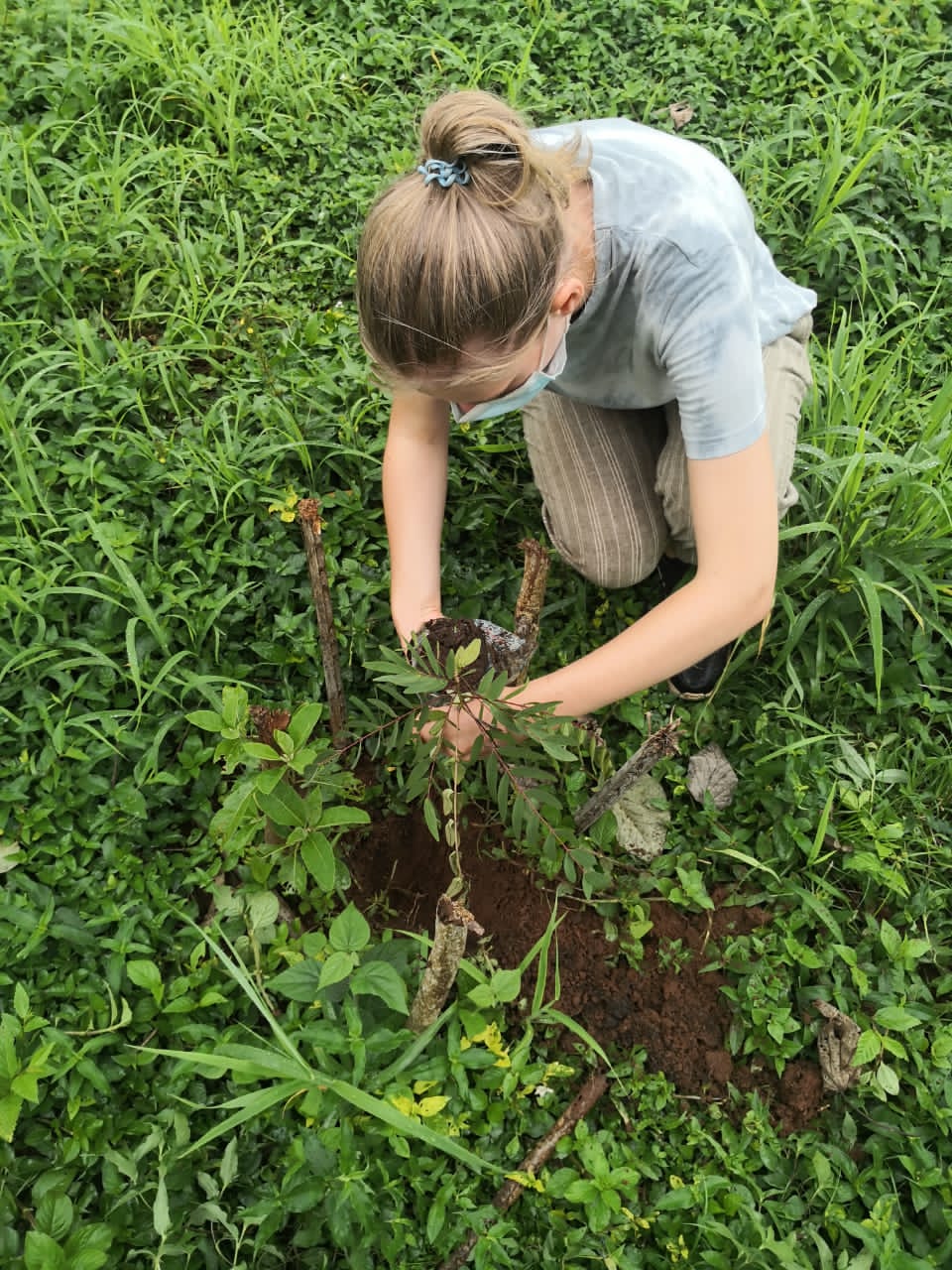 Reforestation | Atlas Volunteers